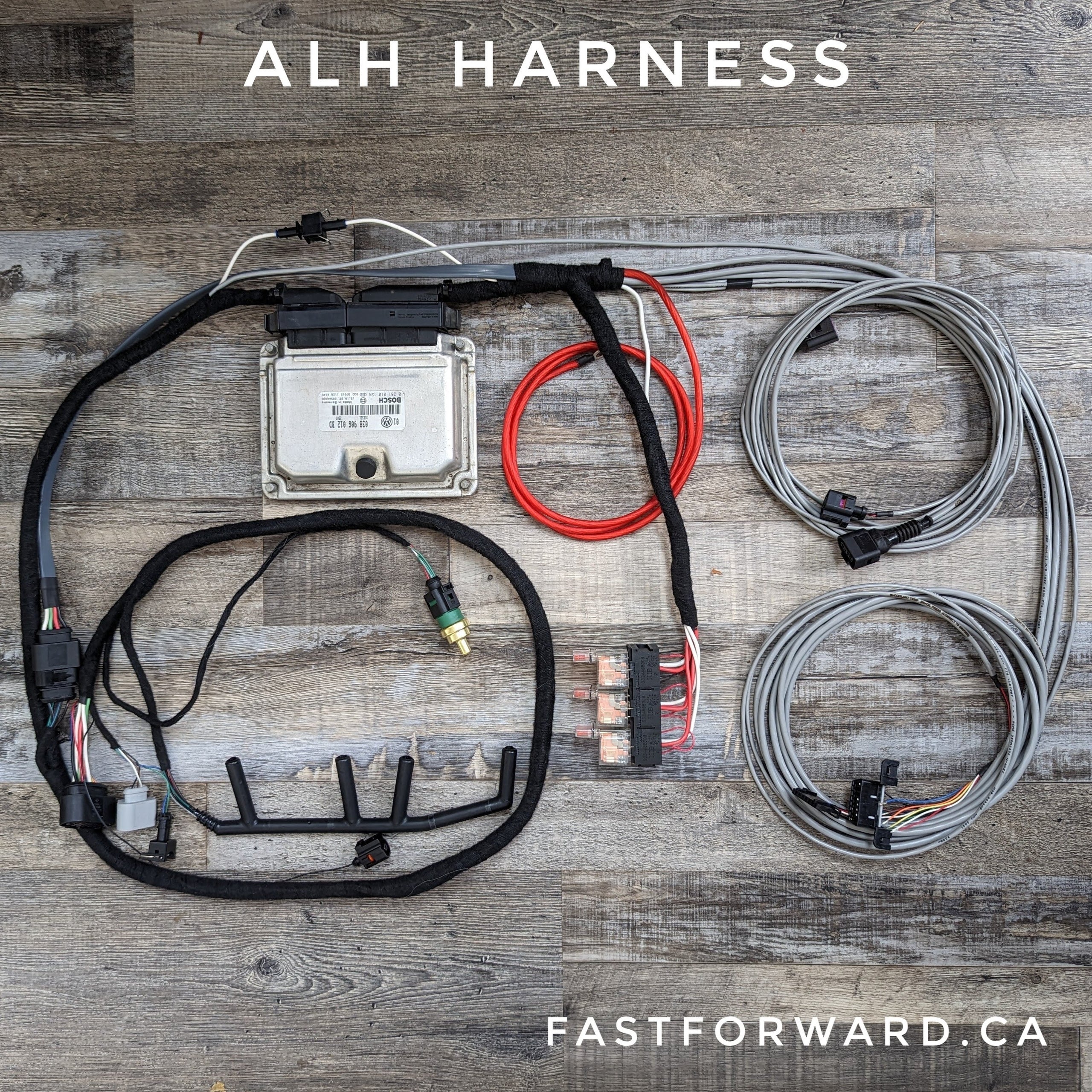 ALH Harness | Fast Forward Automotive